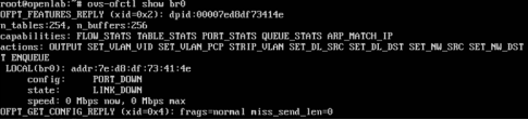 Open vSwitch流表管理_ovs-ofctl dump-flows-CSDN博客
